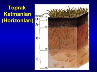 8 toprak | PPT