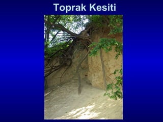 8 toprak | PPT