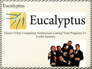 Eucalyptus - An Open-source Infrastructure for Cloud Computing | PDF | Computer Networking ...