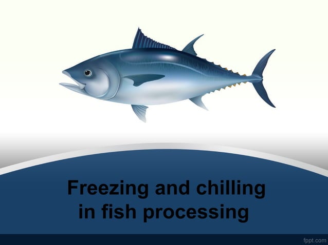 freezing and chilling in fish processing | PPT | Fish and Aquariums | Pets