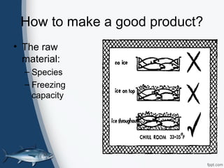 freezing and chilling in fish processing | PPT