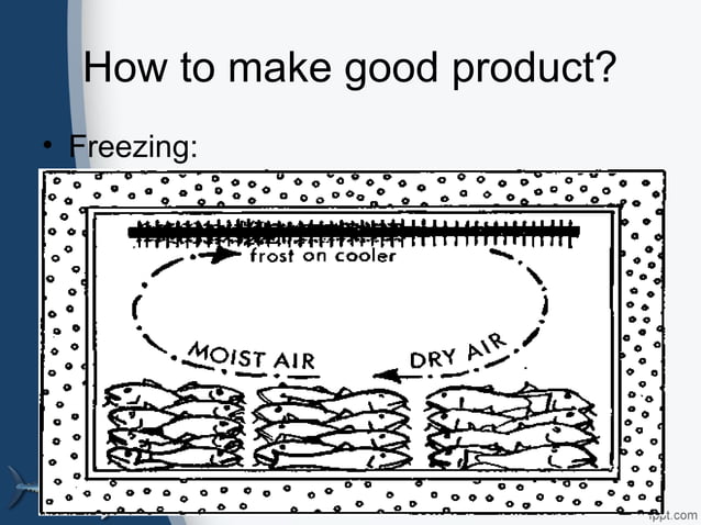 freezing and chilling in fish processing | PPT | Fish and Aquariums | Pets