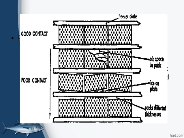 freezing and chilling in fish processing | PPT | Fish and Aquariums | Pets