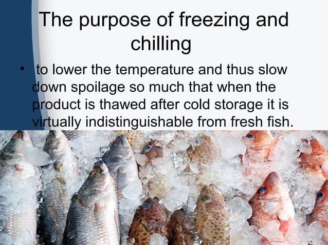 freezing and chilling in fish processing | PPT | Fish and Aquariums | Pets