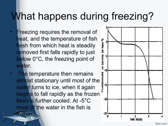 freezing and chilling in fish processing | PPT | Fish and Aquariums | Pets