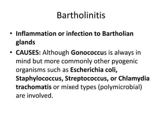 8 Vulval disorders .pptx