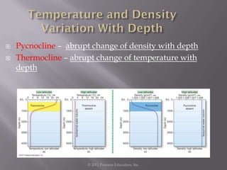 Water and Seawater: Pycnocline, Thermocline, Desalination, & Light ...