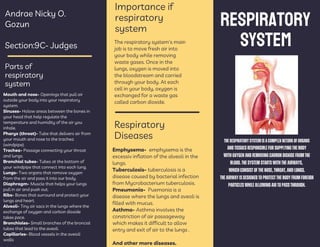 Respiratory_system_Digital_Brochuure.pdf
