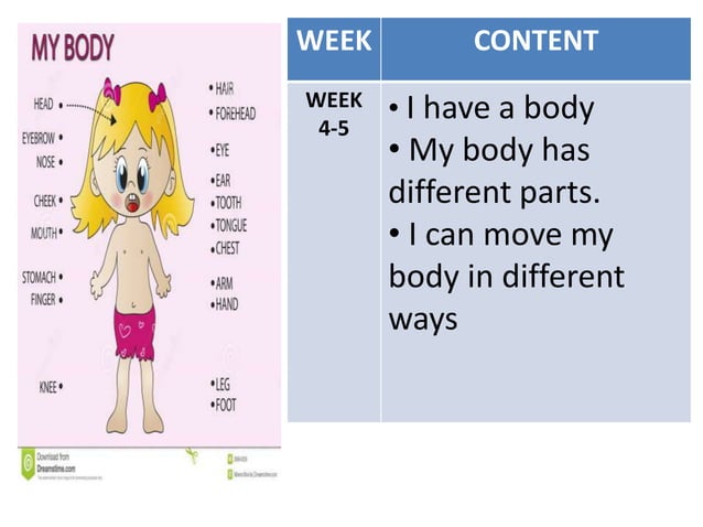 8 week curriculum presentation | PPTX