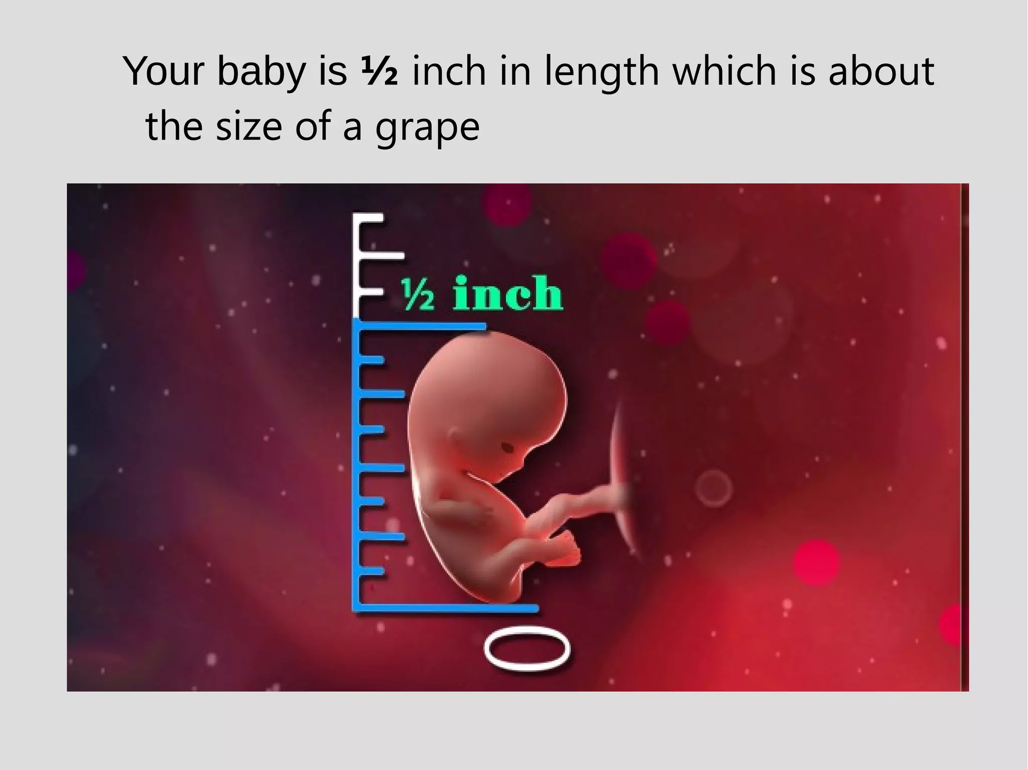 8 Weeks Pregnant: What to Expect | Pregnancy Week By Week | PPT