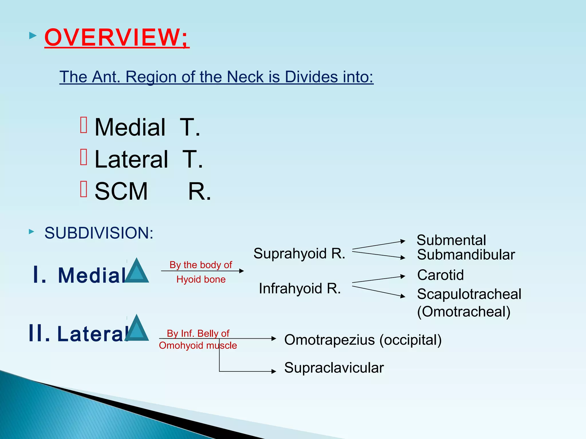 Triangles of the neck | PPT
