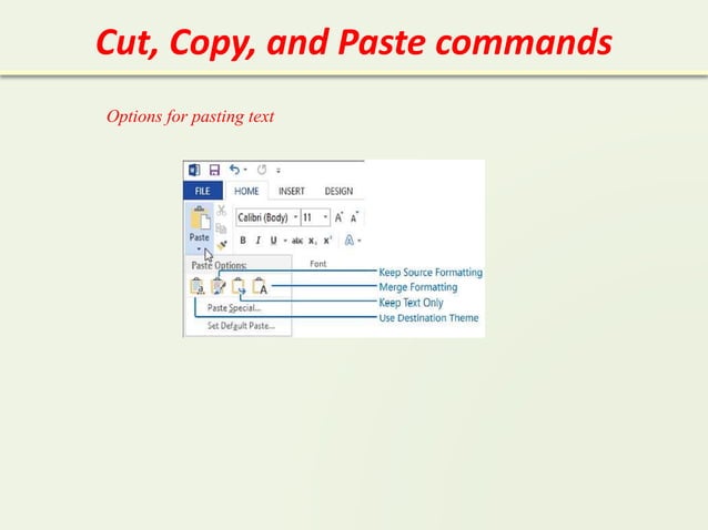 Introduction to Microsoft Word Processor | PPTX