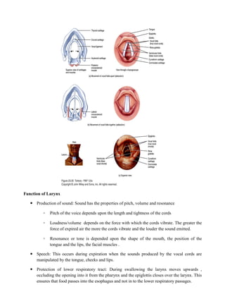 RESPIRATORY SYSTEM.PDF