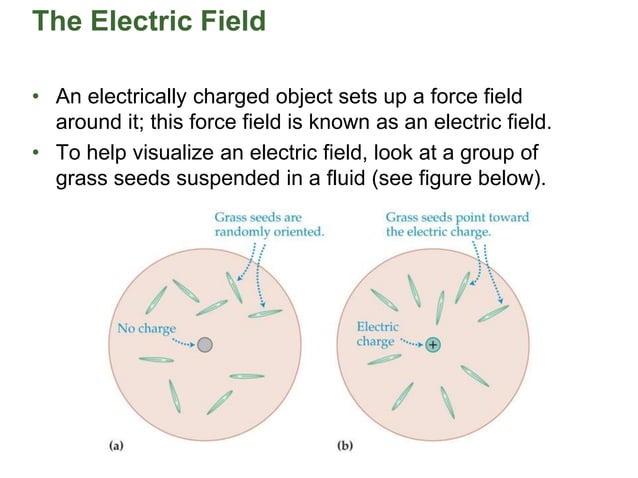 Stem Grade 12 - Physics 2 -Electric-Fields-and-Energy.pptx