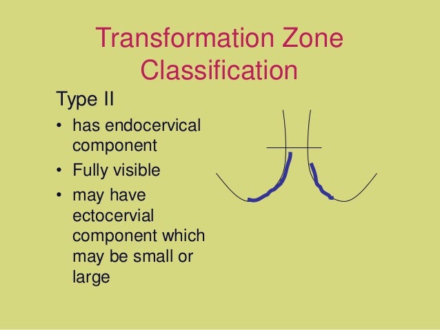4 prof walter managmet of cin