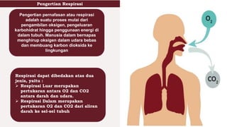 Sistem Respirasi | PPTX