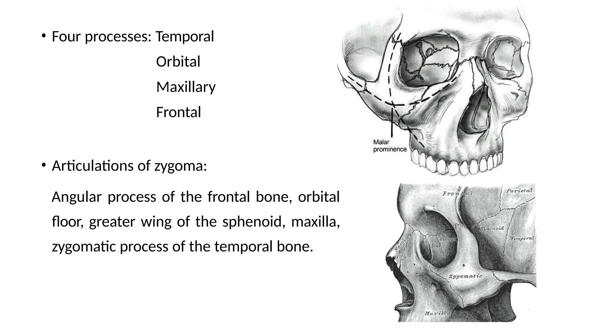 8zygomaticomaxillarycomplexfractures-220403140435.pptx
