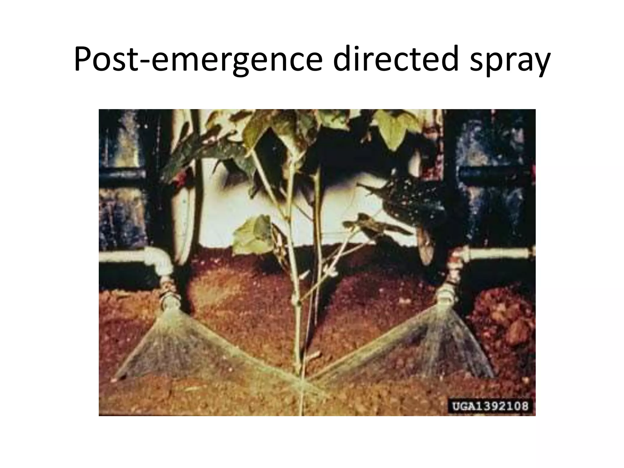 Herbicides – Definition – Advantages & Limitations of Herbicide usage ...