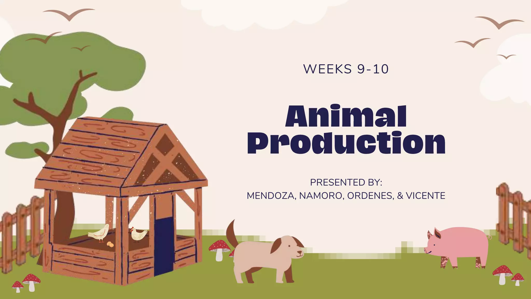 (9-12) Animal Production.pptx