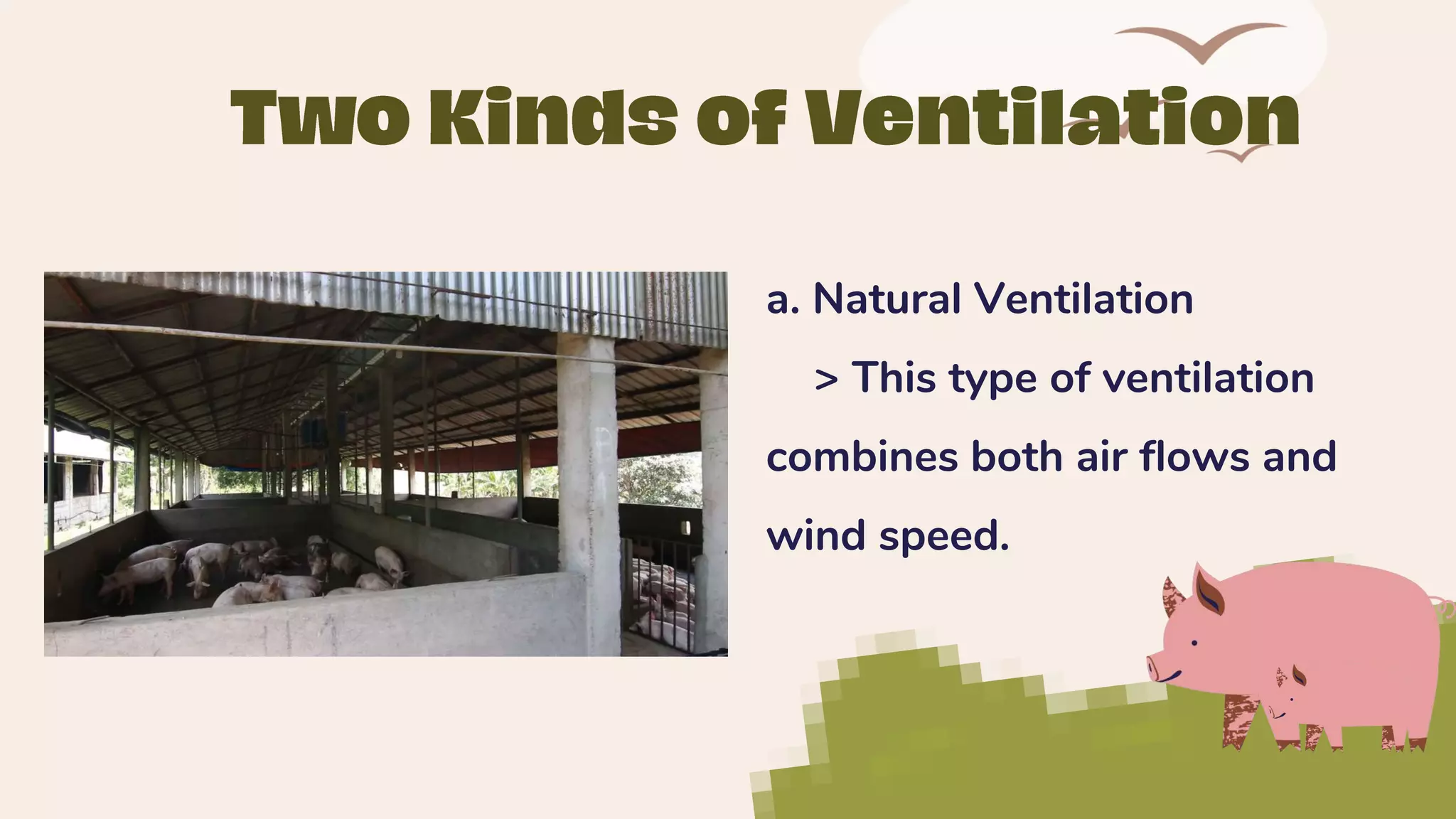 (9-12) Animal Production.pptx