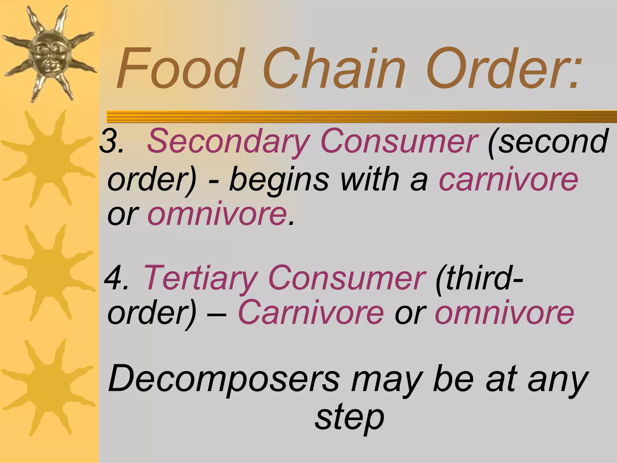 food chains and Relationships | PPT