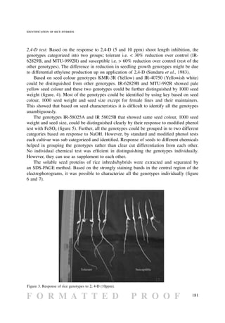 9. identification of rice hybrids and their parental lines based on | PDF