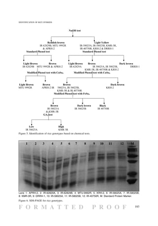 9. identification of rice hybrids and their parental lines based on | PDF