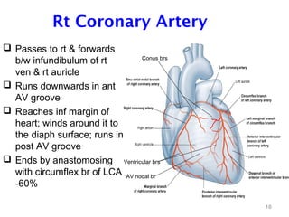 blood supply of heart | PPT
