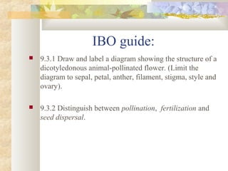 9.3 reproduction in angiospermophytse | PPT