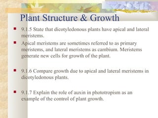 9.1 plant structure & growth | PPT