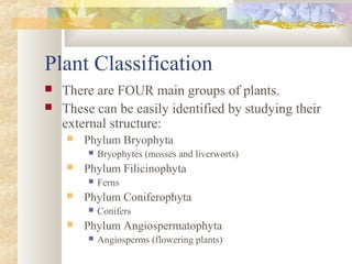 9.1 plant structure & growth | PPT