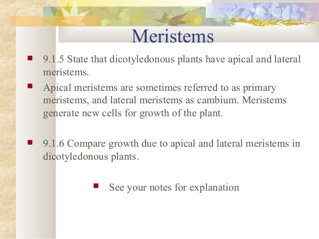 Labeling Primary Growth Structures Masteringbiology