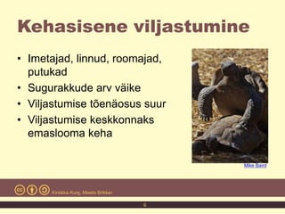 9.viljastumine kehaväline ja sisene viljastumine | PPTX