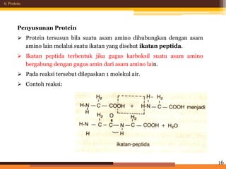 Protein | PDF