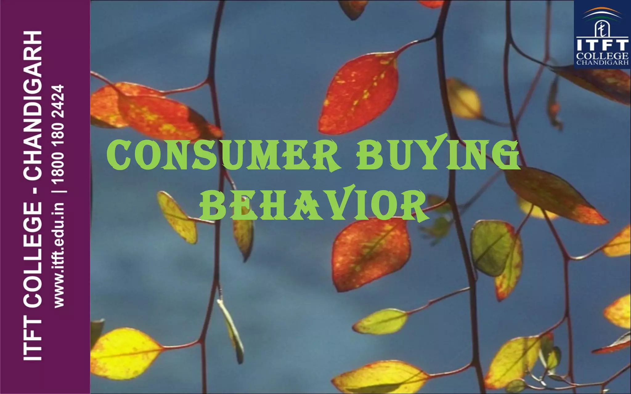 CONSUMER BUYING BEHAVIOR | PPT