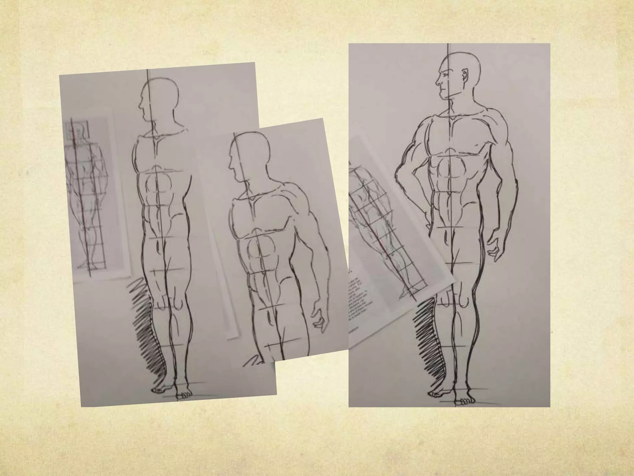 Introducing the Human Figure through Canon of Proportion | PPTX