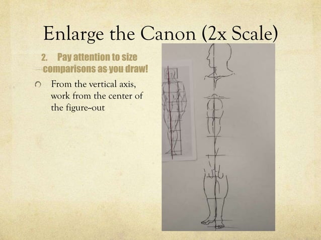 Introducing the Human Figure through Canon of Proportion | PPTX