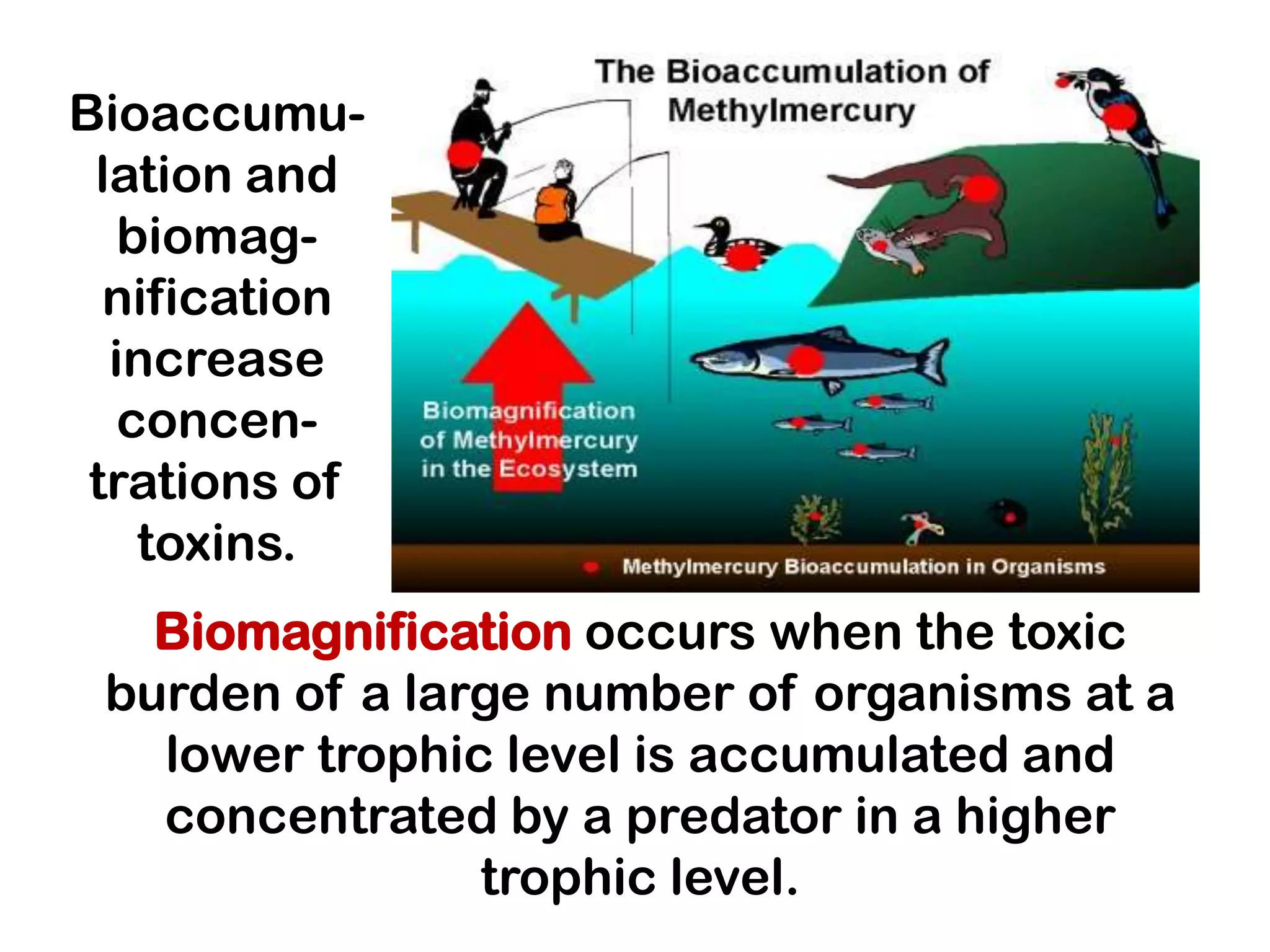 9. environmental health and toxicology | PPTX