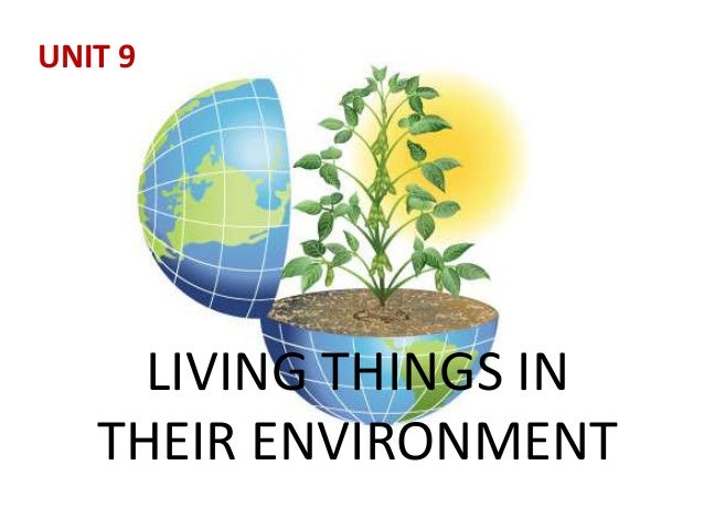 Living Environment