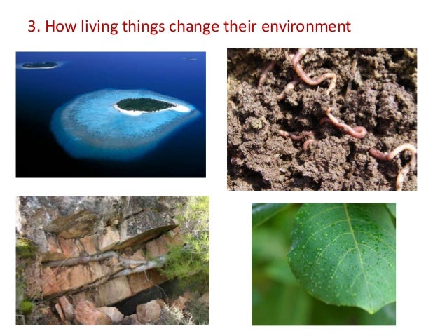 9. living things in their environment