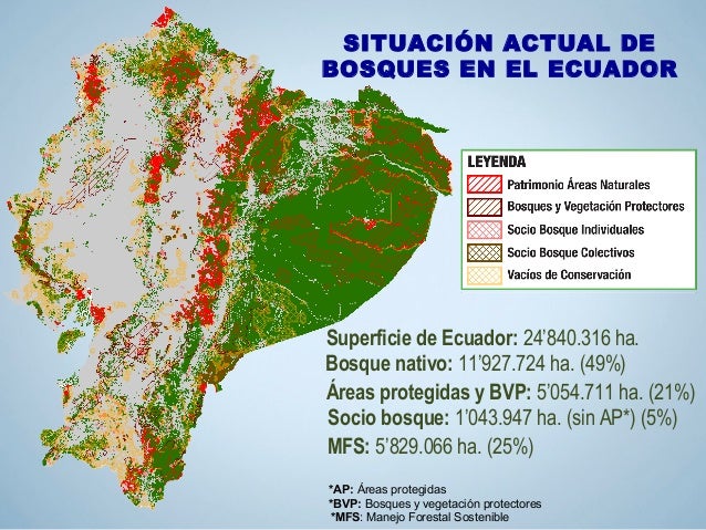 Enlace Ciudadano Nro 334 tema: bosques nativos del Ecuador Enlace Ciudadano Nro 334 tema: bosques nativos del Ecuador