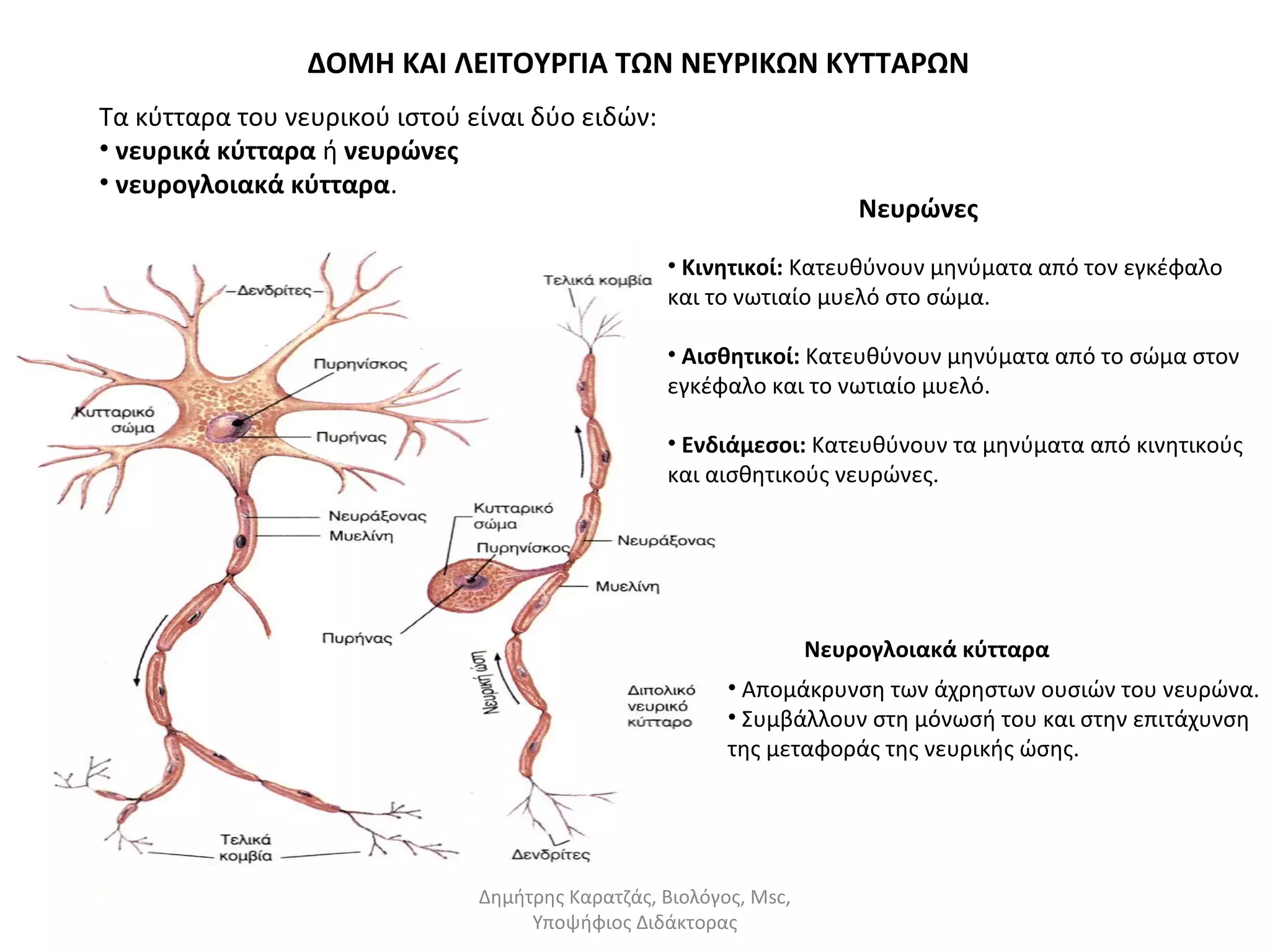 Μάθημα: Βιολογία. Α' Λυκείου. 9ο Κεφ.-Σημειώσεις σχολικού βιβλίου | PPT
