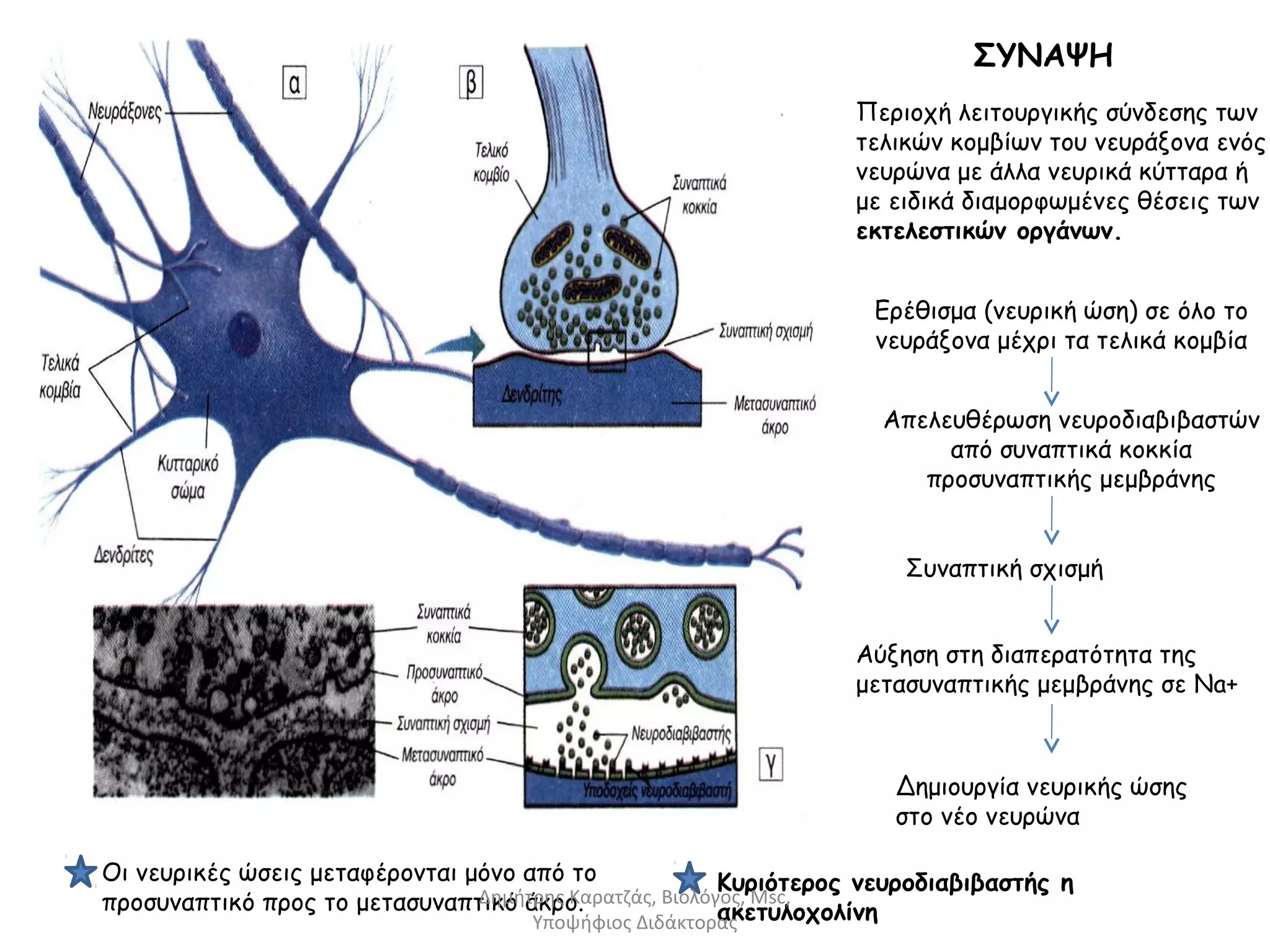 Μάθημα: Βιολογία. Α' Λυκείου. 9ο Κεφ.-Σημειώσεις σχολικού βιβλίου | PPT
