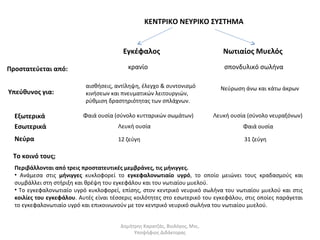 Μάθημα: Βιολογία. Α' Λυκείου. 9ο Κεφ.-Σημειώσεις σχολικού βιβλίου | PPT