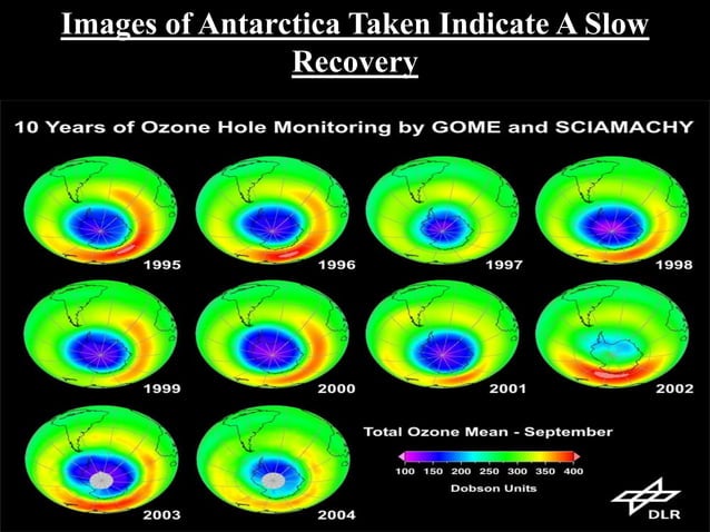 Biology Form 4 Chapter 9 : 9.2-9.3 Endangered Ecosystem | PPT