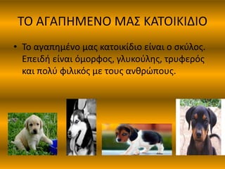 τα αγαπημενα μου πραγματα9 | PPTX