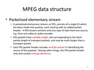 Basic Concept of Pixel and MPEG data structure (english) | PPT