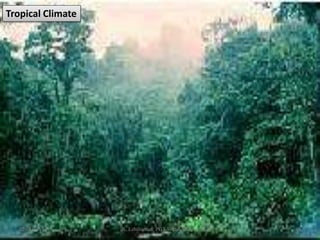 Climate-9th Geography | PPSX