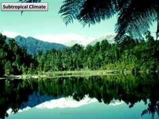 Climate-9th Geography | PPSX