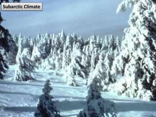 Climate-9th Geography | PPSX